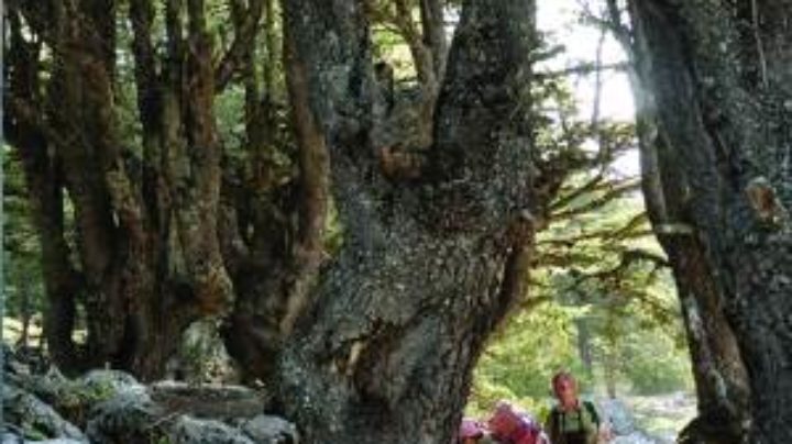 12 Commonly Asked Questions About Ephesus And Their Answers | Licensed ...